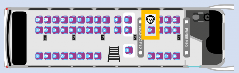 Condiciones Servicio Pet Friendly - Buses Pullman Tur